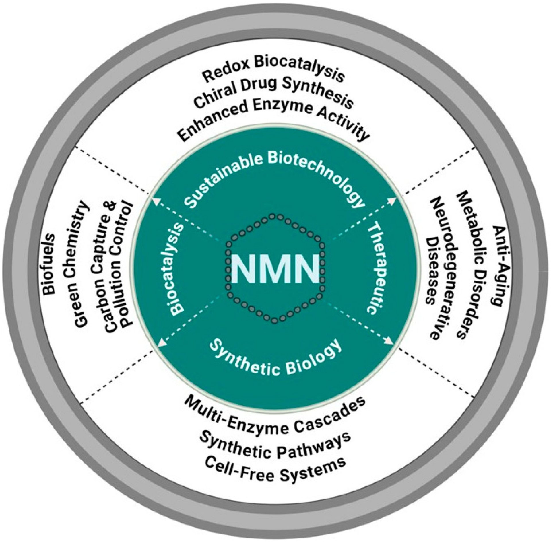 JAPAN NMN IV Therapy - Premium Stem Cells Malaysia